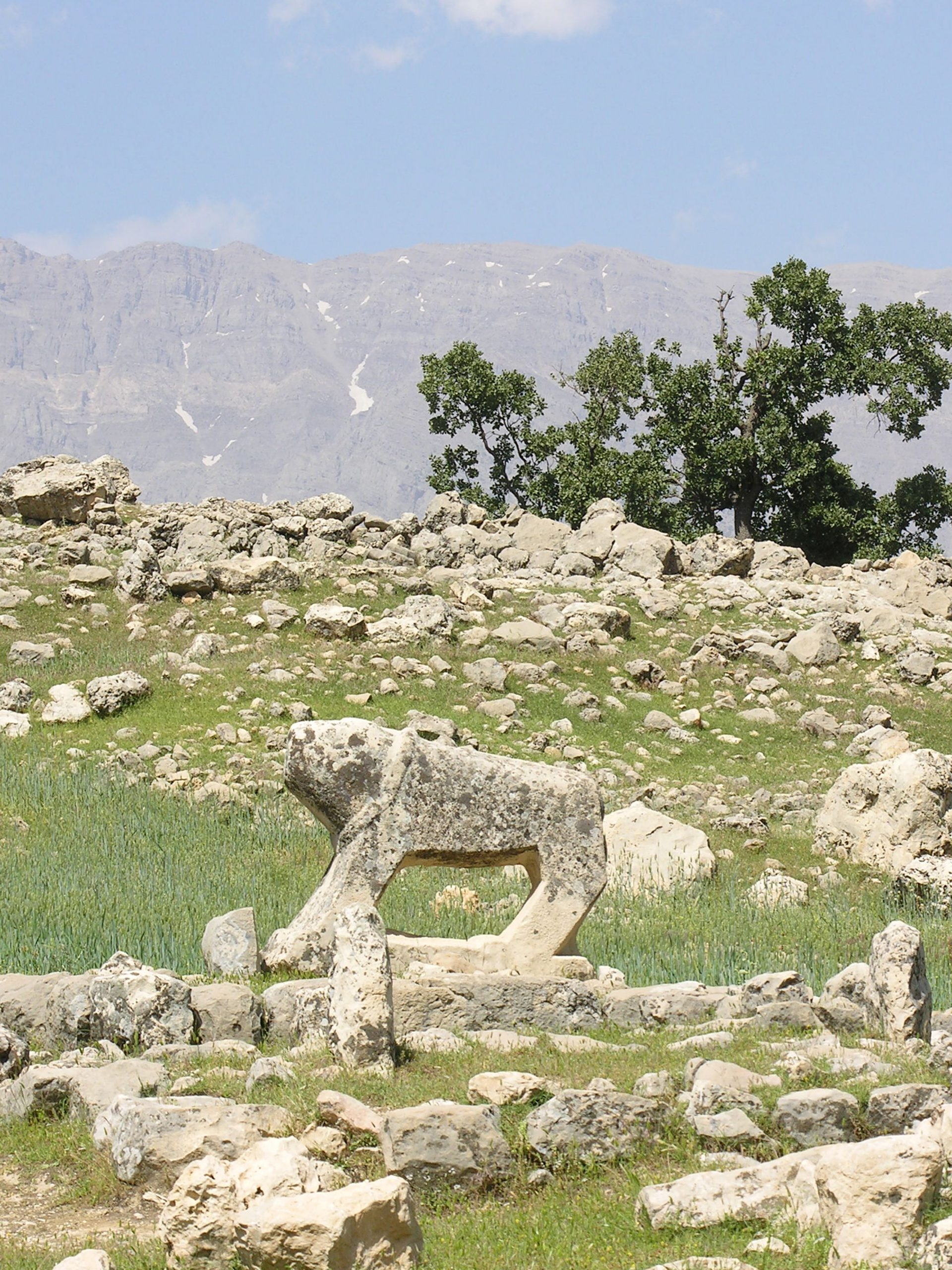 x050-Landscape-011-copy - Caroline Mawer